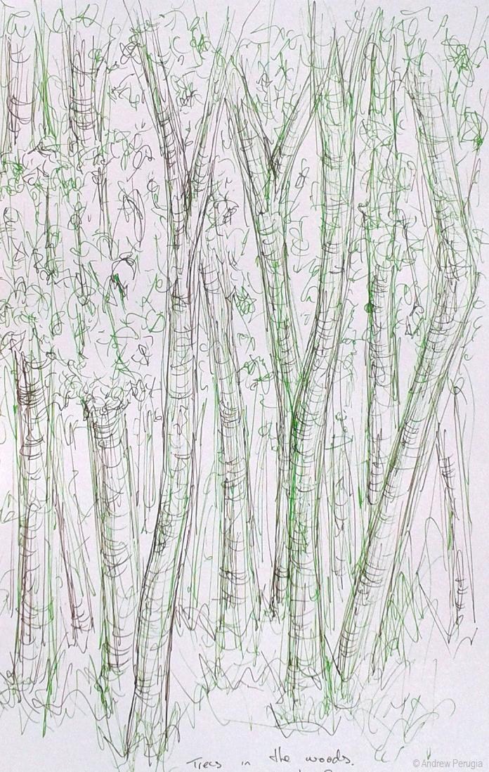 Andrew Perugia Artworks: Drawings: OCA Part 3: Drawing Trees III ...