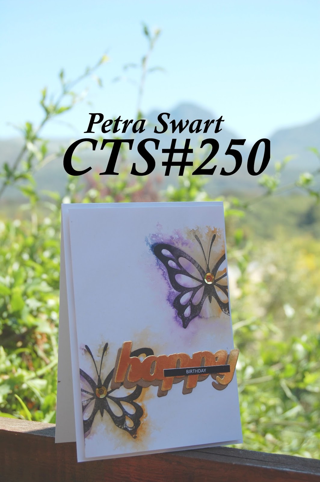 Kaartjie kreatief / Cards creative: CTS#250