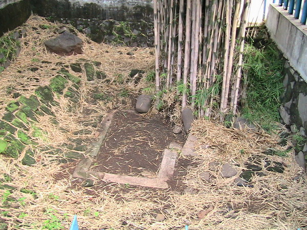 Legenda Si Pitung | Si Budi