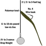 Bass Fishing Tips & Tales: Determining Drop Shot Leader Length