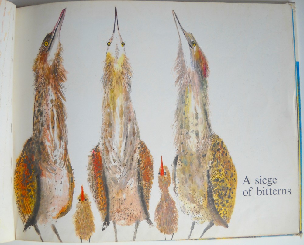 Manatee's Toy Box: Brian Wildsmith's Birds