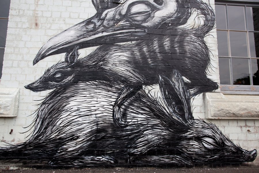 ROA New Mural In Sydney, Australia – StreetArtNews
