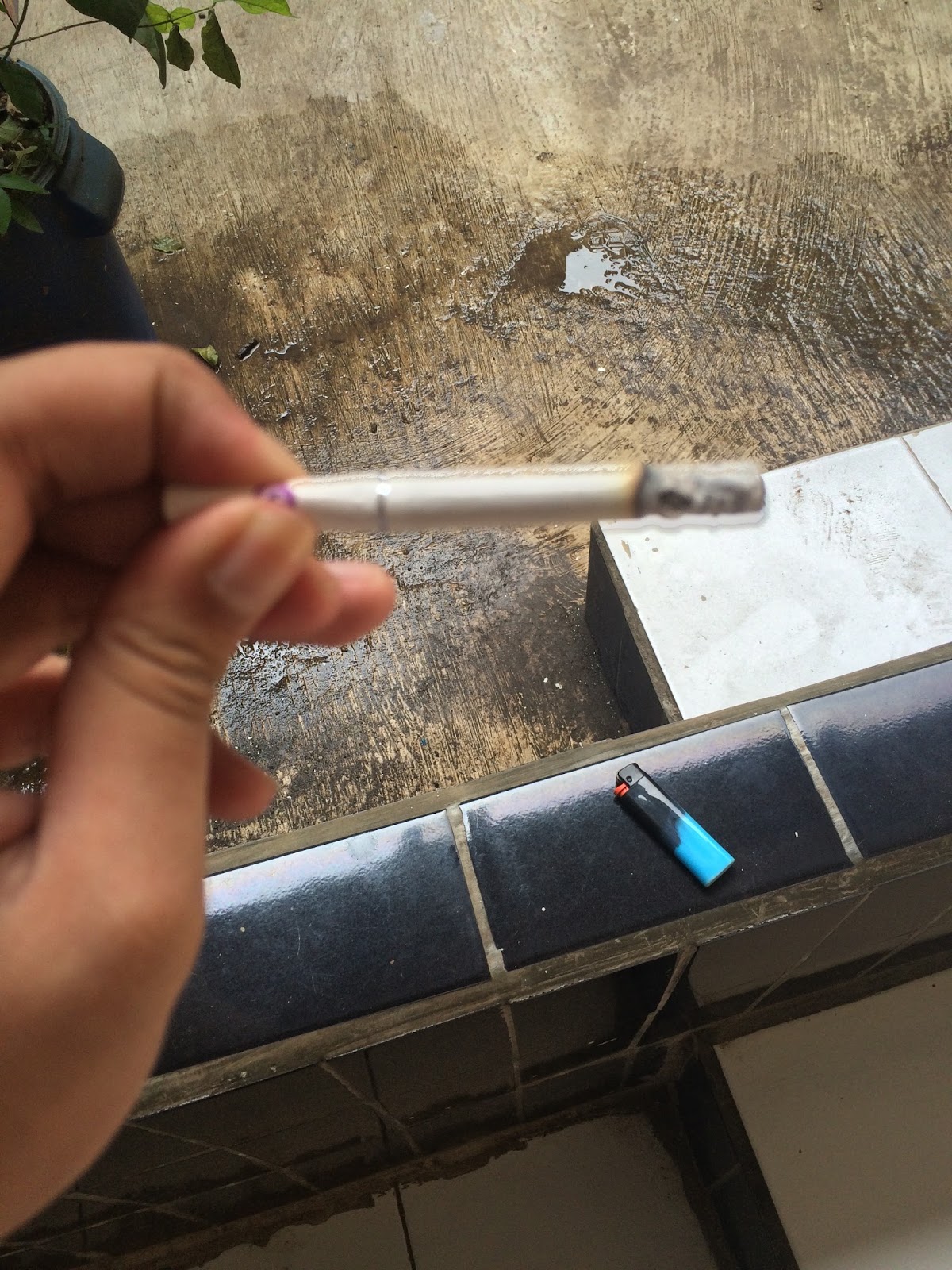 Camel Activate Purple Mint, rokok capsule dengan rasa anggur pertama di ...