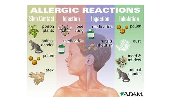 Star Chiropractic: Is There a Link Between Allergies and Cancer?