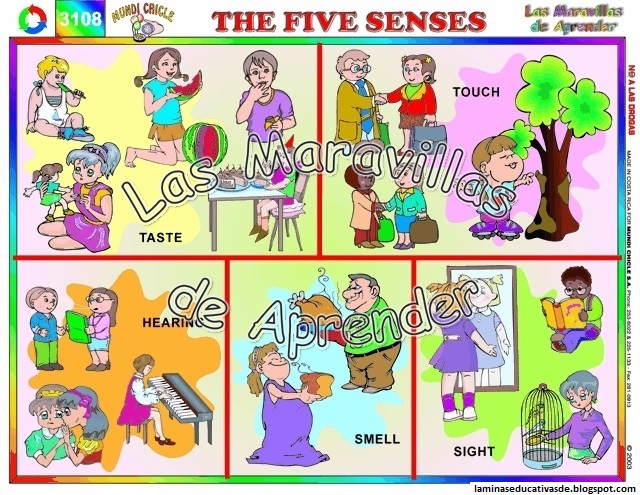 LAMINAS EDUCATIVAS: LOS 5 SENTIDOS