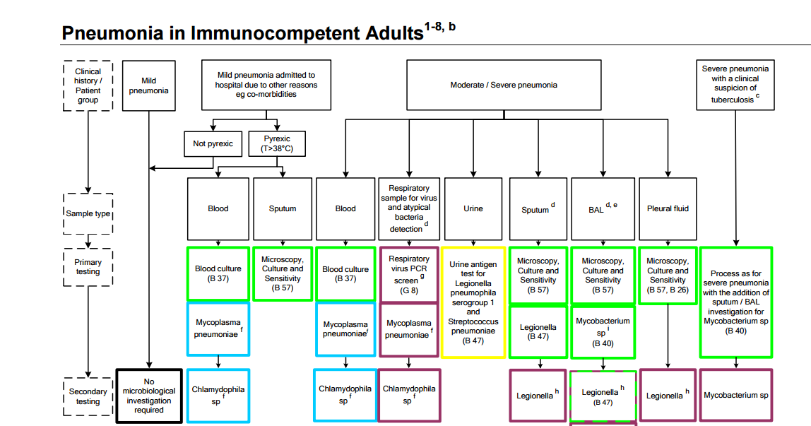 Usmle notes : USMLE Microbiology - Pneumonia ddx algorithm - non ...