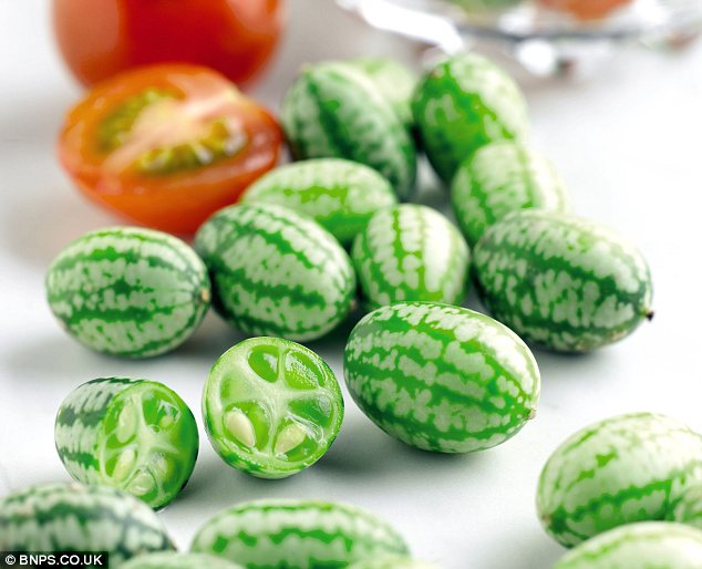 Have You Heard about Cucamelons?