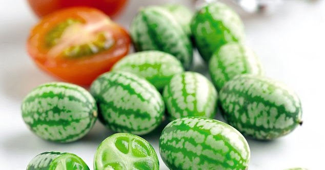 Have You Heard about Cucamelons?