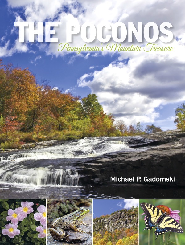 Pennsylvania & Beyond Travel Blog: The Poconos: Pennsylvania’s Mountain ...