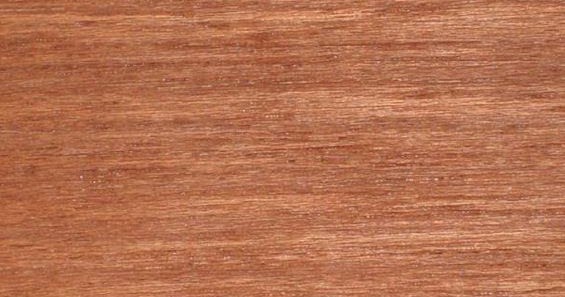 kayumebel: Kayu Meranti