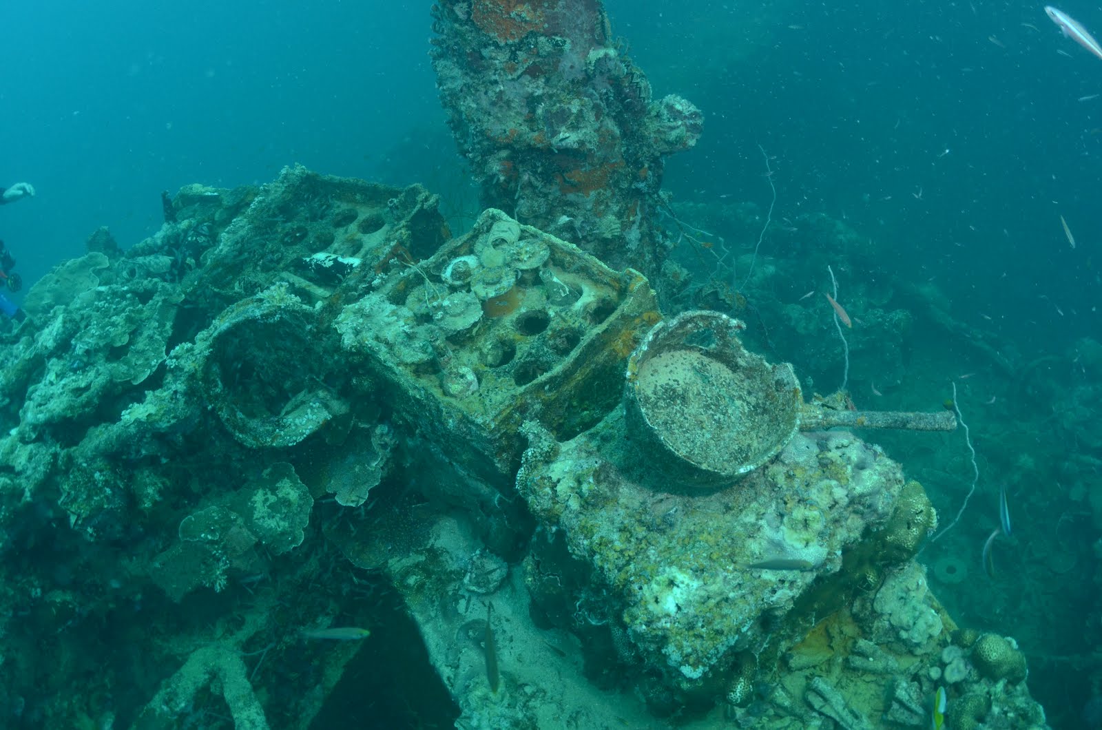 Adventure Thug: Wreck of the Iro Maru