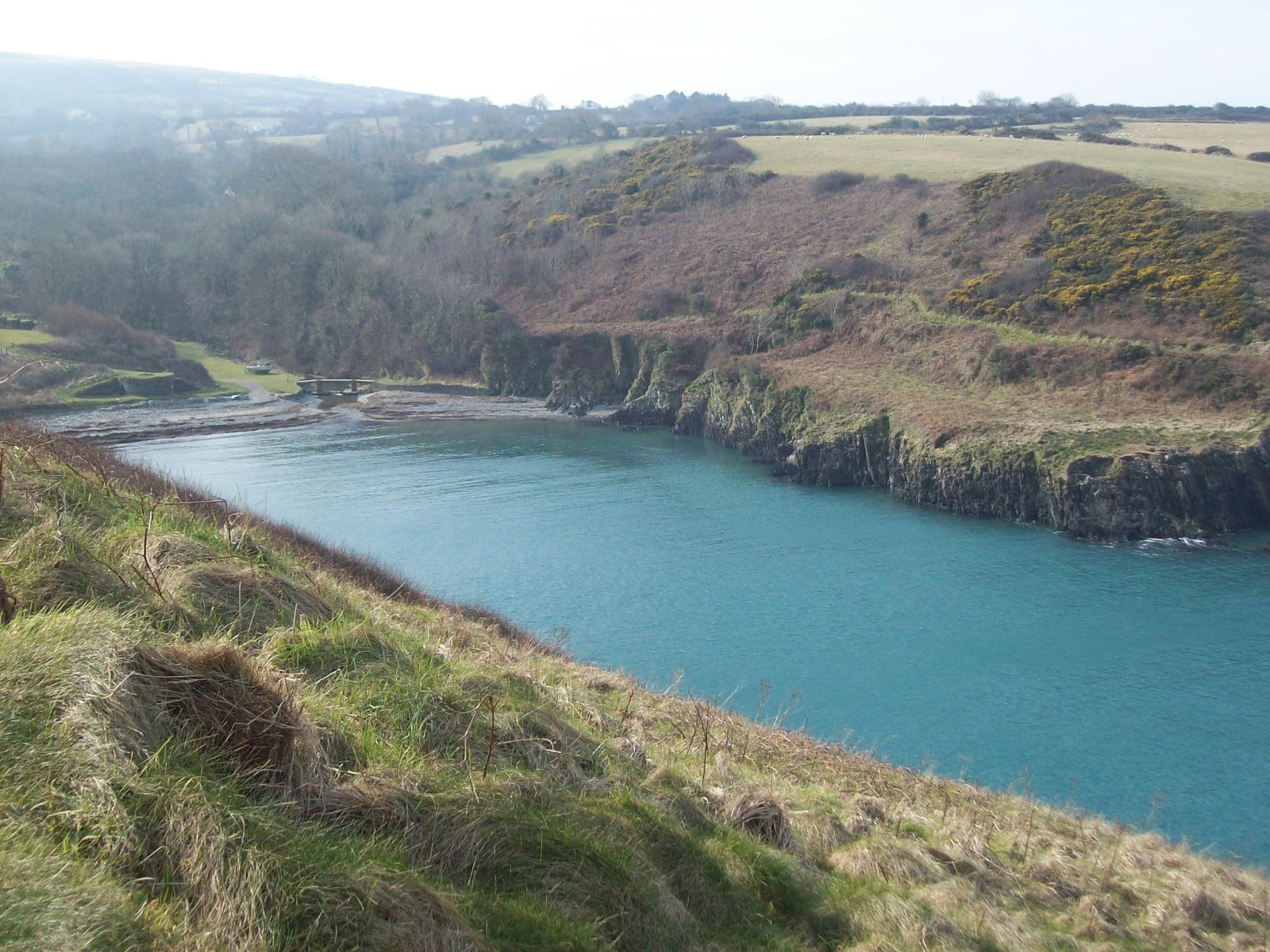 Random Daily Walks: Newport and Carn Ingli