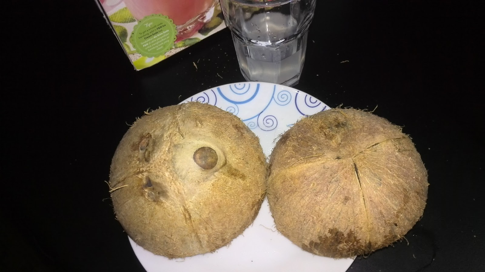 namakucella: TEMPURUNG JANTAN vs TEMPURUNG BETINA