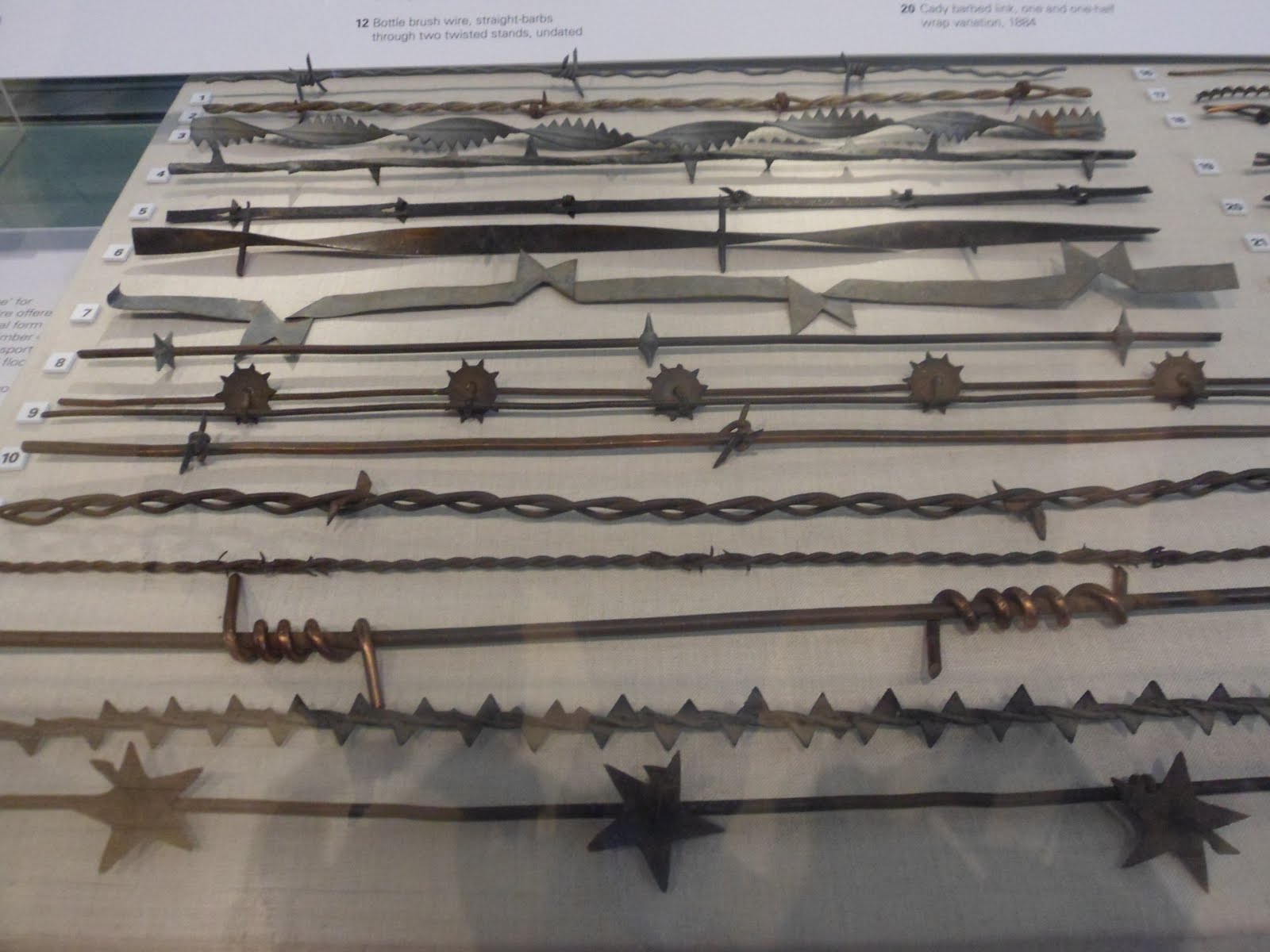 Eucalypt Ridge Quilting: Did you know...