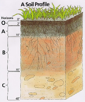 AGRICULTURAL SCIENCE FOR JSS TWO.: LESSON ONE: MEANING OF SOIL AND IT'S ...