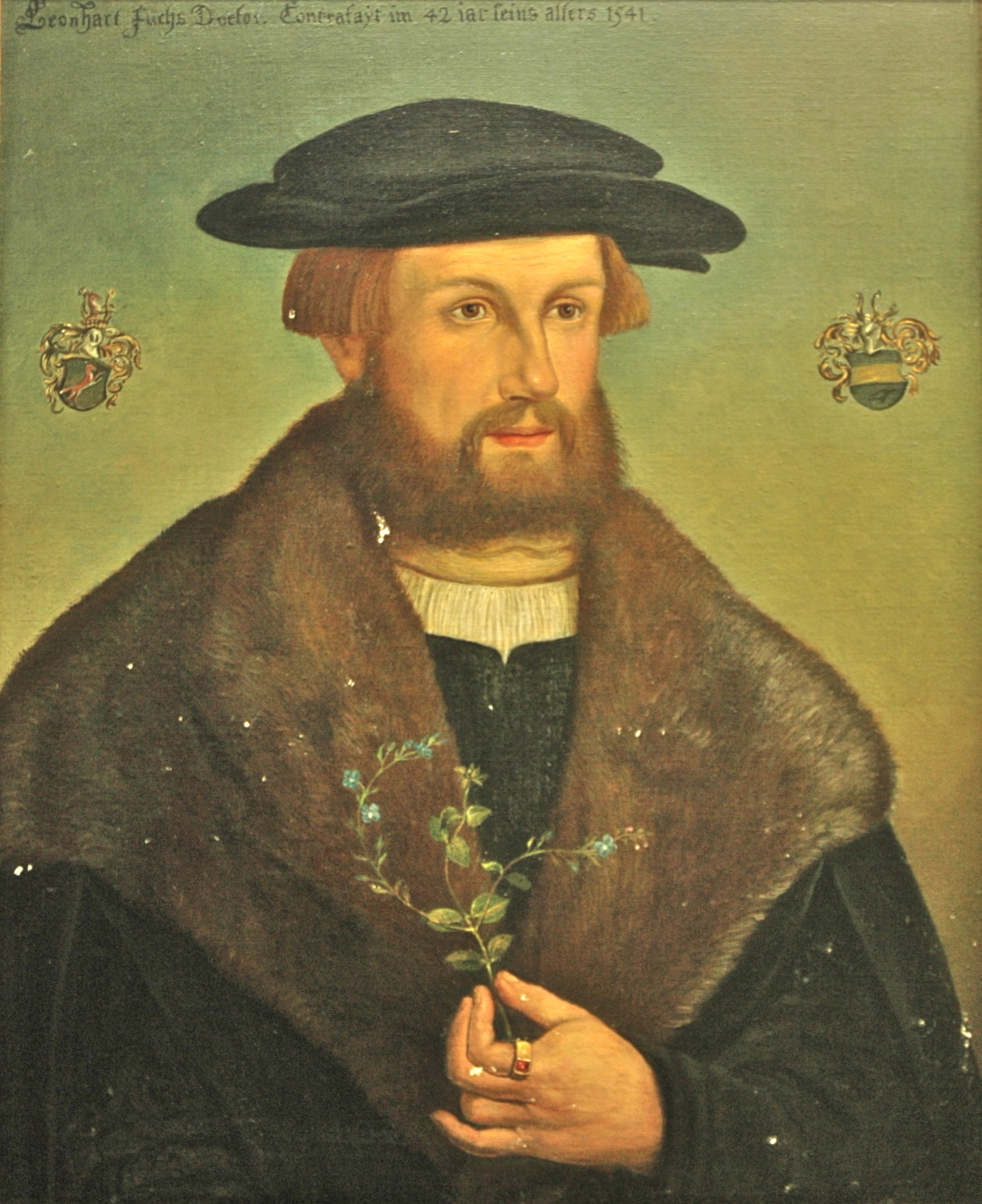 Truth and Beauty : Leonhart Fuchs Collection, Botanic Gardens, Tubingen ...