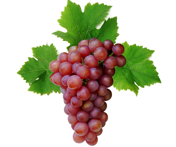 Florile gandului: Diete