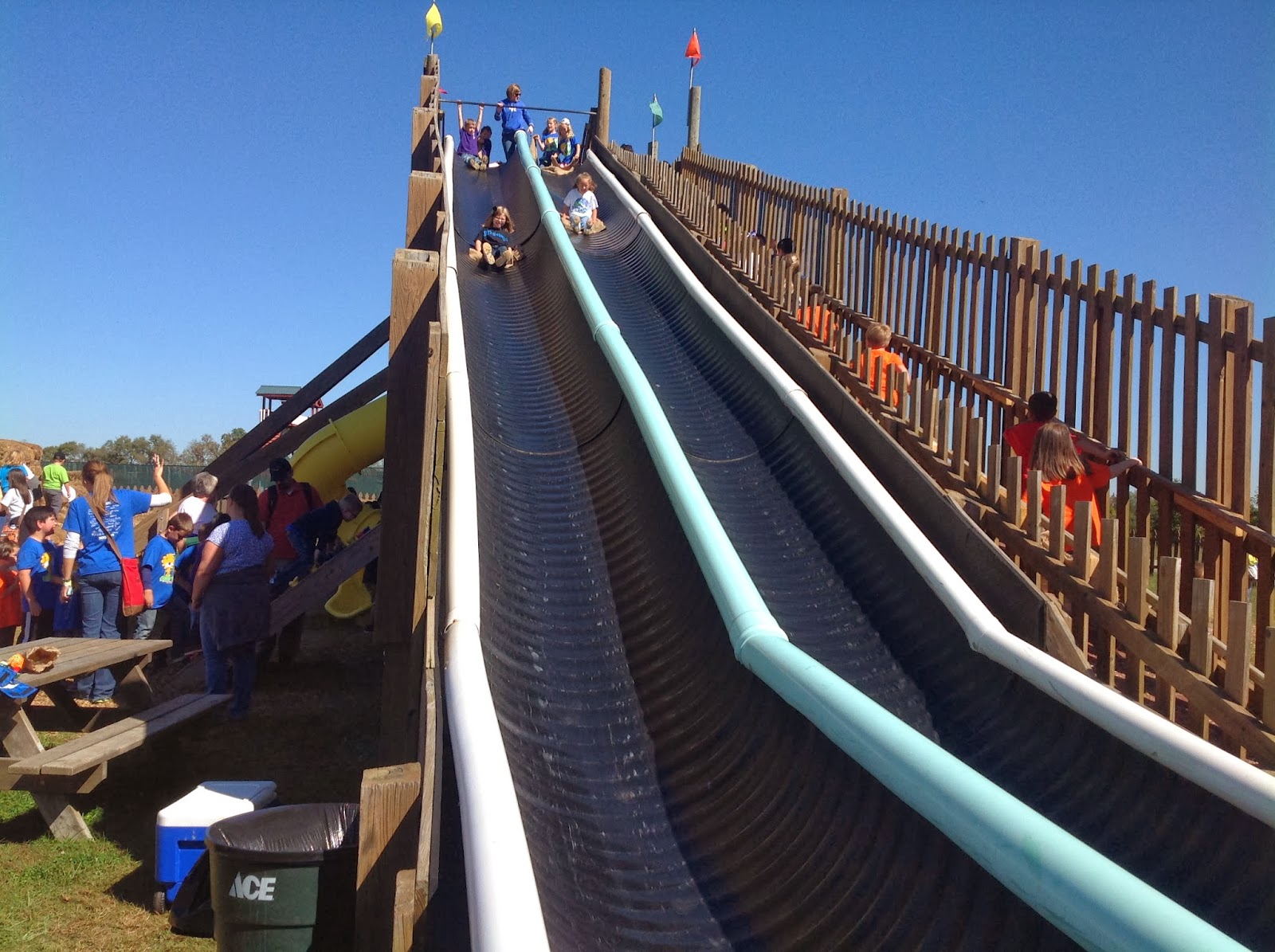 Team Tipton First Grade Information: Trip to Boyd's Orchard