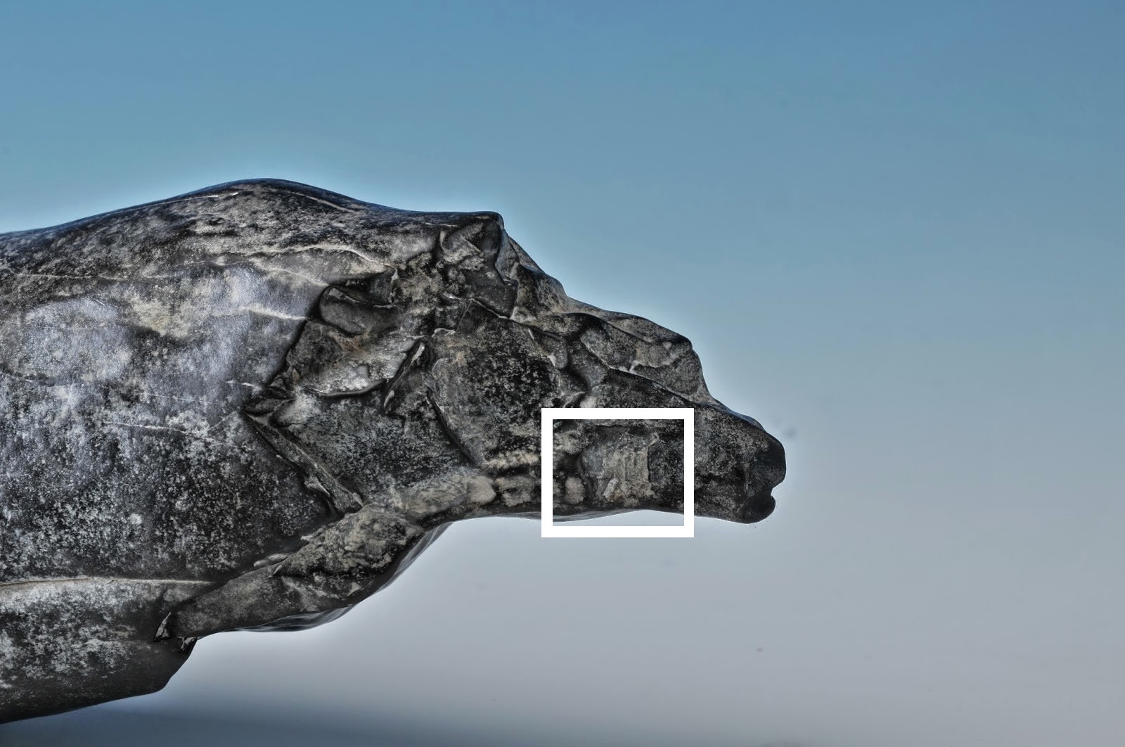 Archaeology of Portable Rock Art: A fossilized carved ivory horse ...