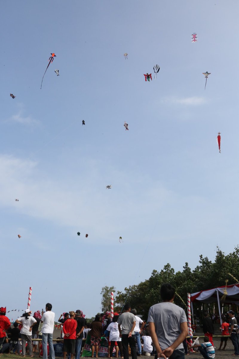 FESTIVAL LAYANG-LAYANG BANYUWANGI 2016, ANEKA LAYANGAN BERTEMA LAUT ...