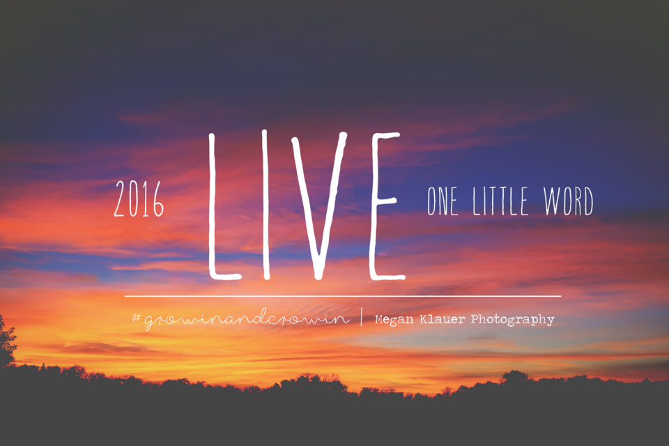 Growin & Crowin - Bringing back the Homestead: :: 2016 One Little Word