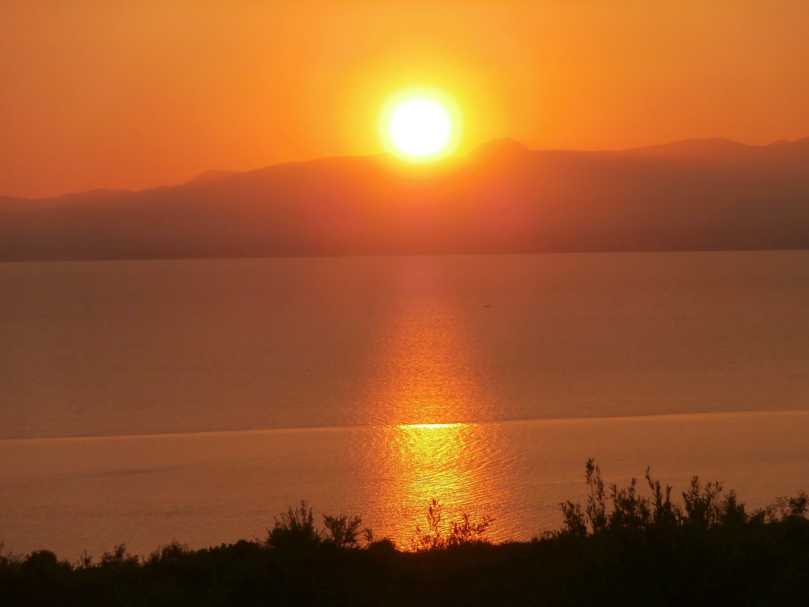 NEWS MESSINIA - ΜΕΣΣΗΝΙΑΚΑ ΝΕΑ και ΕΙΔΗΣΕΙΣ: ΦΩΤΟ - ΗΛΙΟΒΑΣΙΛΕΜΑ ΚΑΙ ...