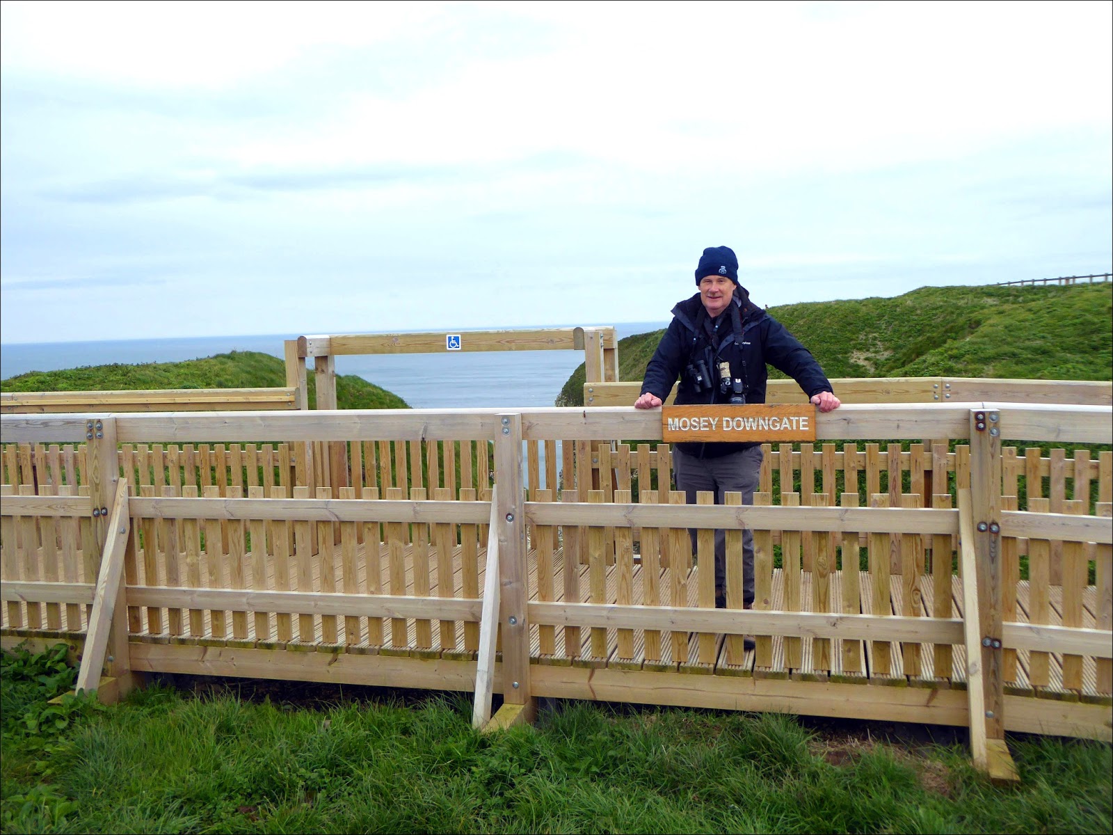 Wild and Wonderful: Puffins from RSPB Bempton Cliffs, Yorkshire