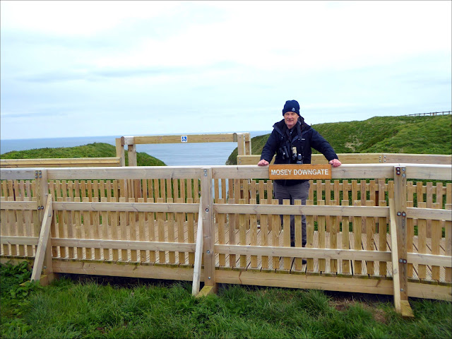 Wild and Wonderful: Puffins from RSPB Bempton Cliffs, Yorkshire