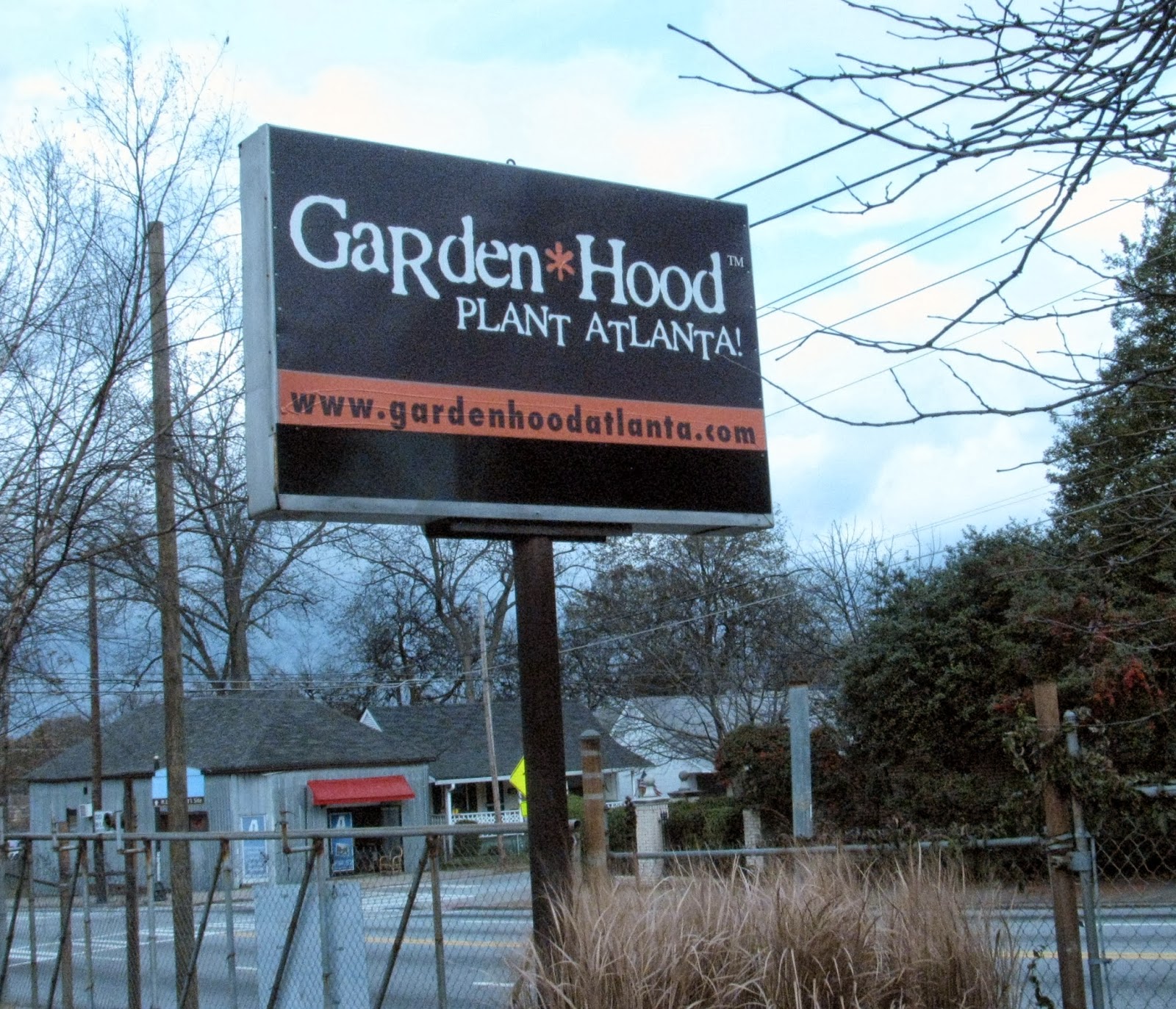 Social Shutter: Affordable Homegrown Food and Sustainability