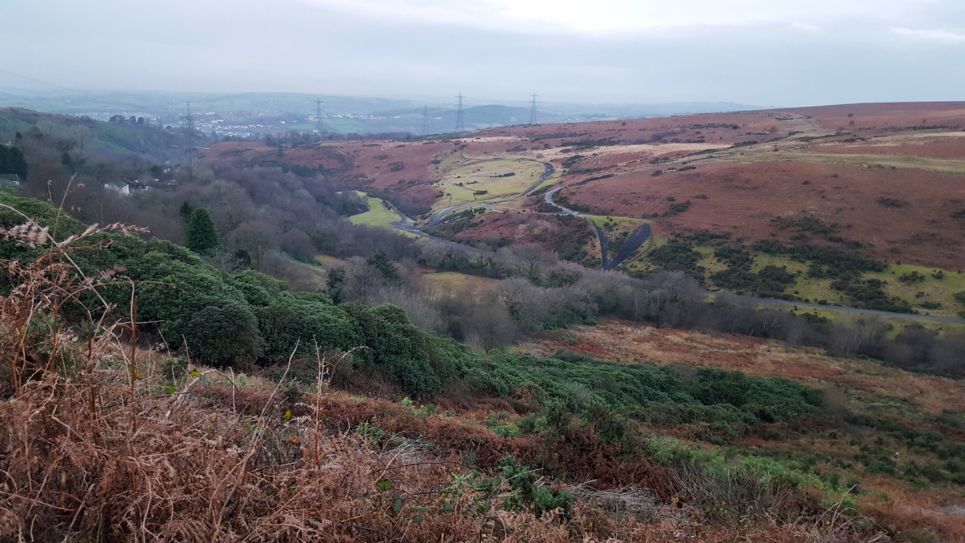 South Wales Bryophytes: Cwm Dulais (Pontarddulais)