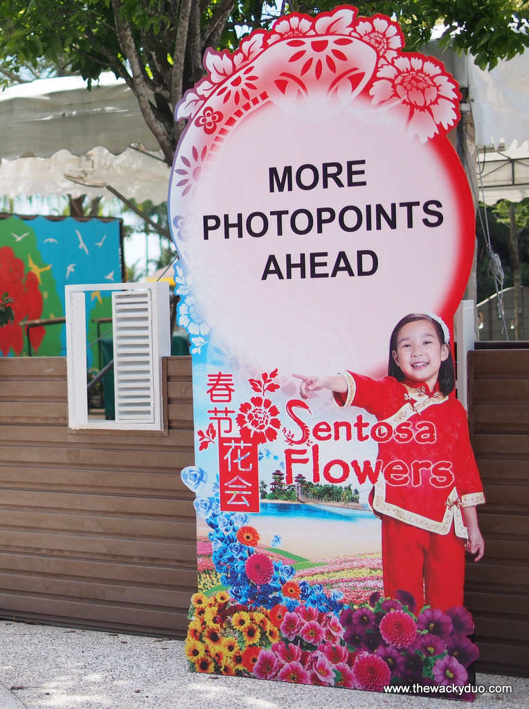Sentosa Flowers 2013 @ Palawan Beach - TheWackyDuo.com - Singapore ...
