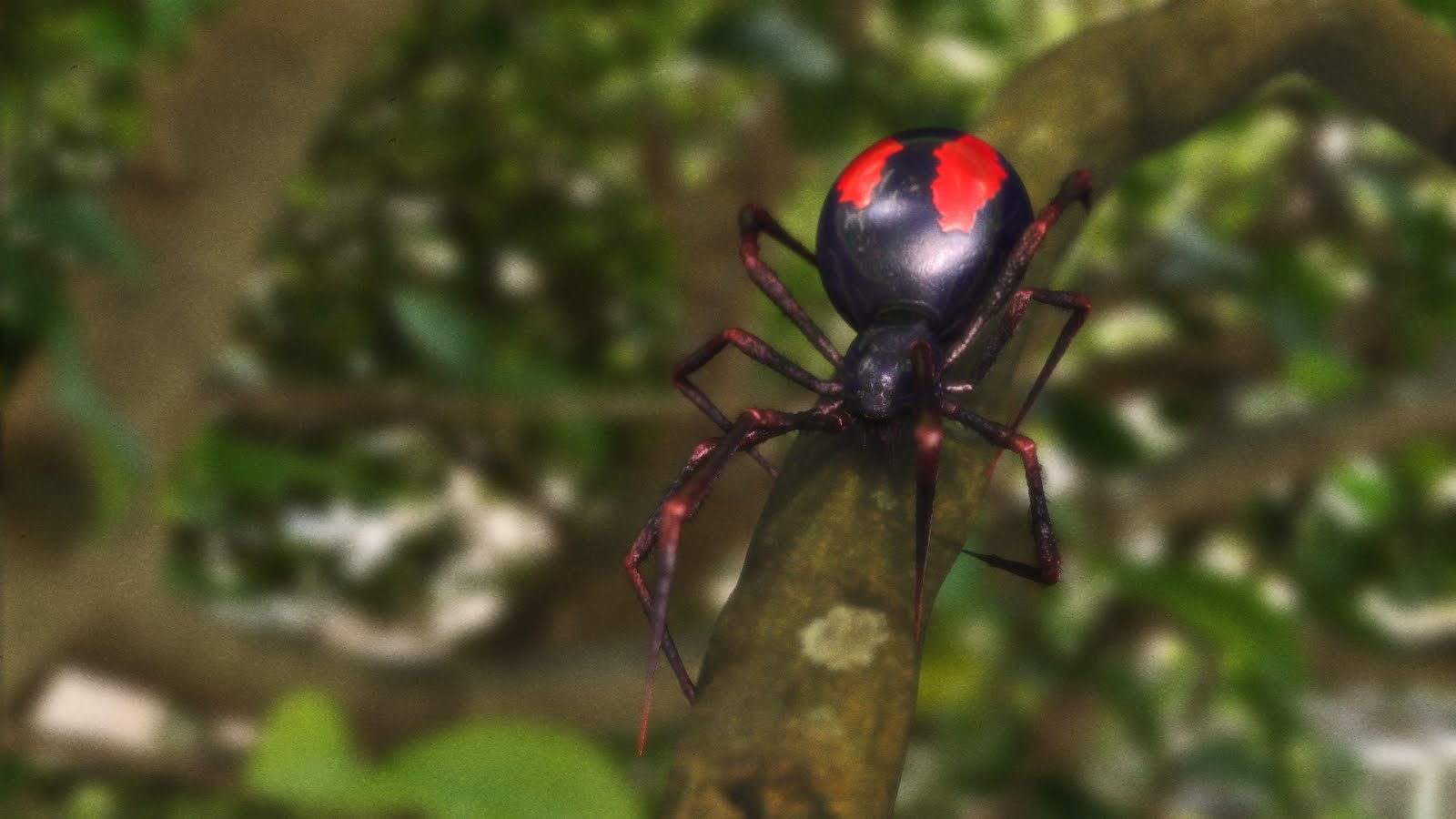 VIEWPORT STUDIO: Spider!!