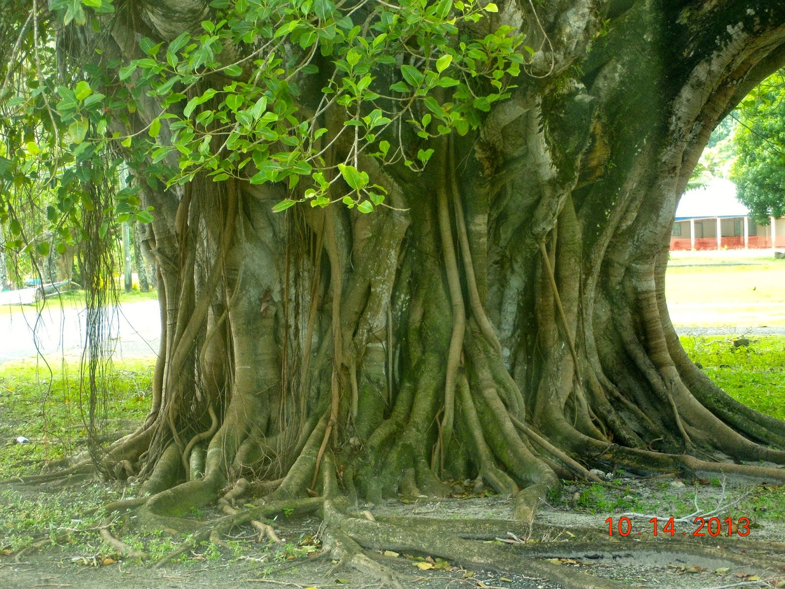 Dennis and Susan Jordan: Facts About American Samoa - Island of Tutuila