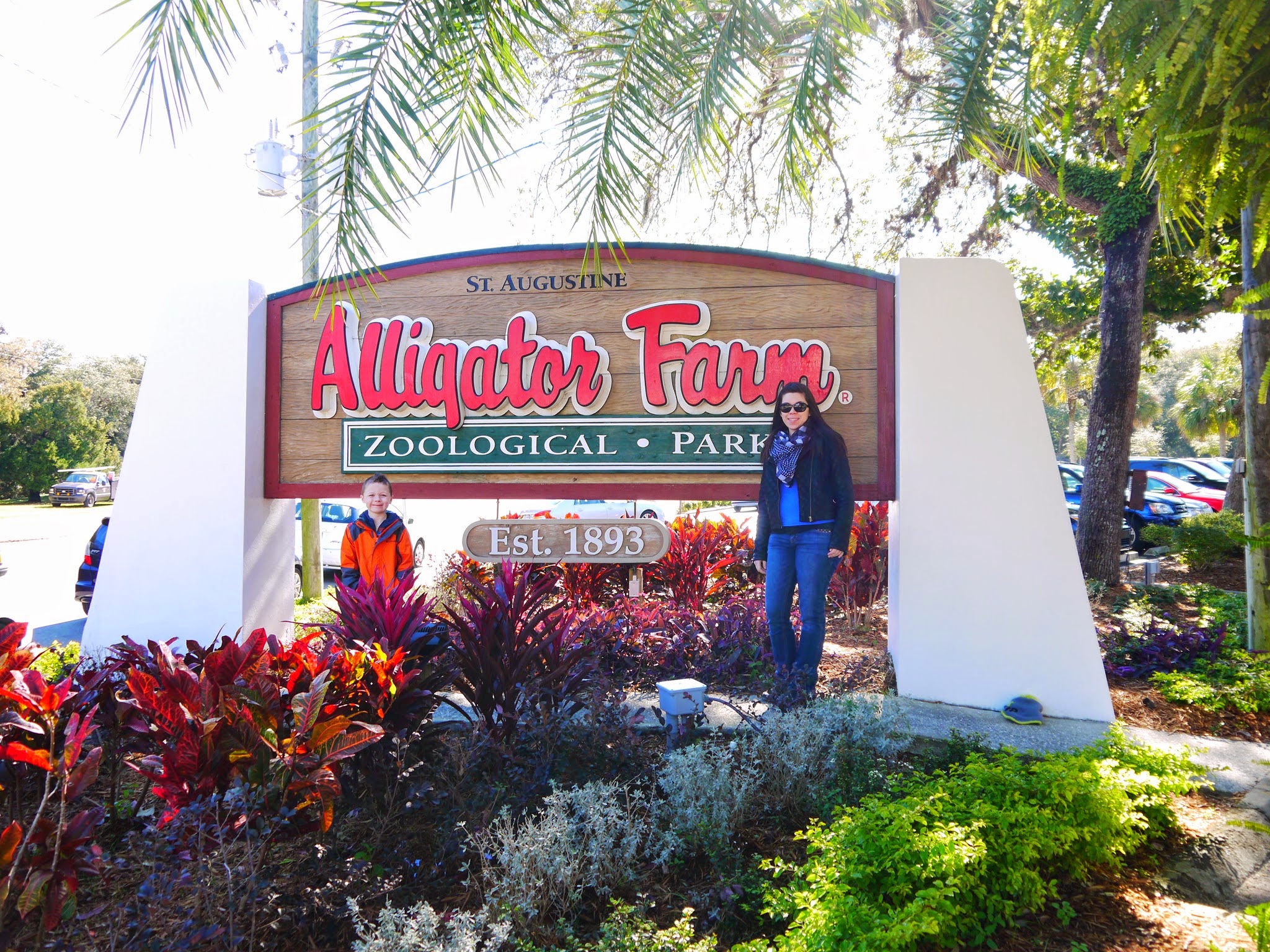 St. Augustine Alligator Farm Zoological Park #LoveFl - The Western New ...