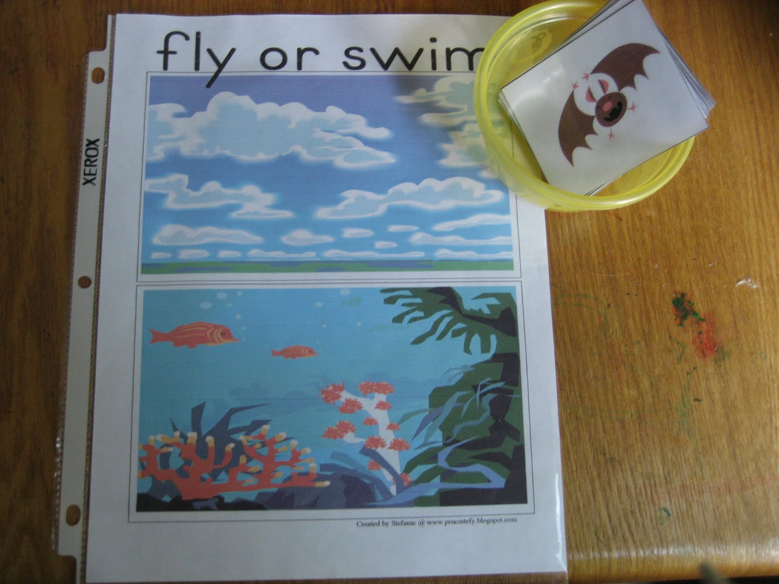 The Preschool Experiment: The End of The Beginning!