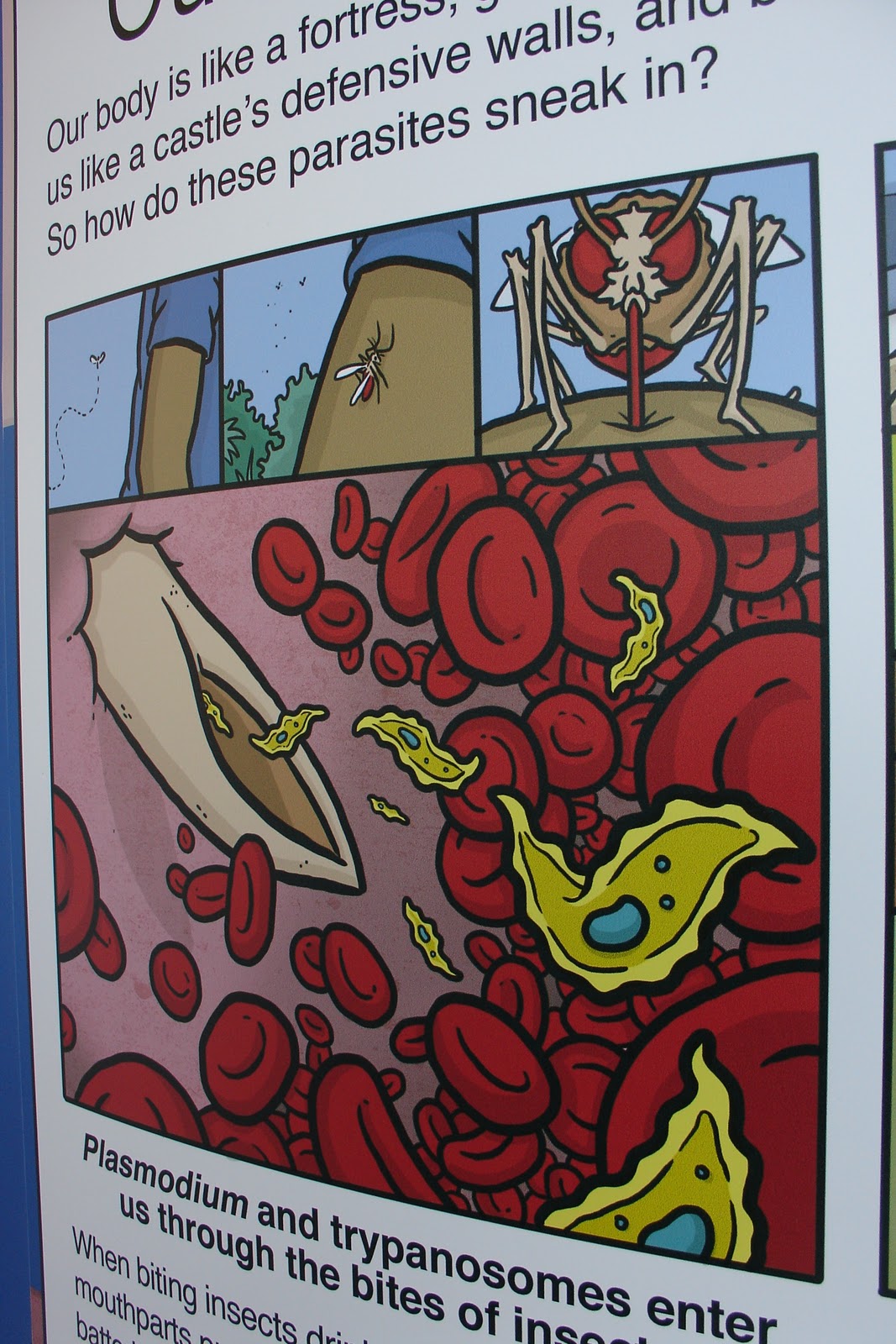 Edward Ross: comics and illustration: A Bigger Canvas - Parasites ...