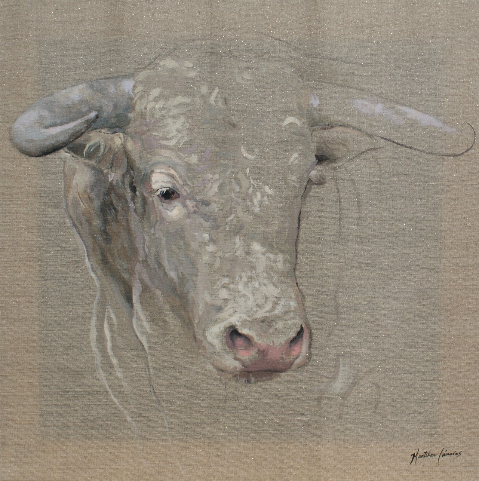 Juanjo Martínez Cánovas: Tauromaquia