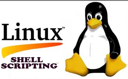 Macam - Macam Shell pada Linux - Lite Purbalingga