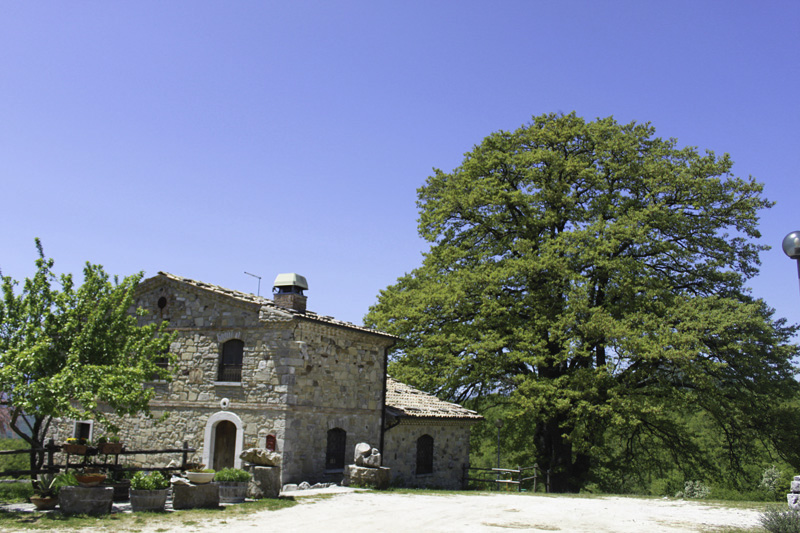 Top Restaurants & Bars in Molise Heights: La Grande Quercia