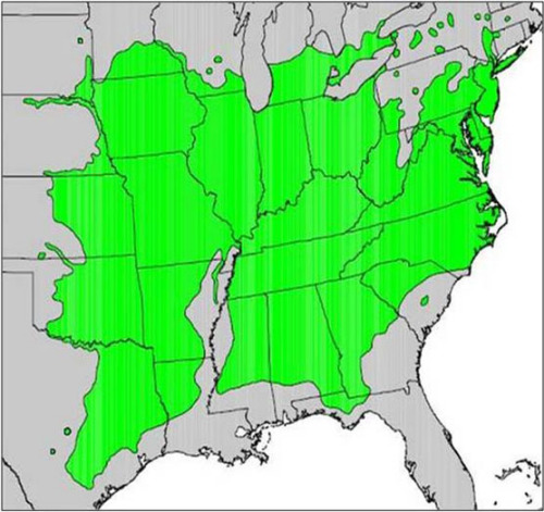 The Rural Blog: Black walnuts, once a rural 'poverty food', are gaining ...