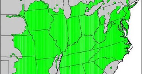 The Rural Blog: Black walnuts, once a rural 'poverty food', are gaining ...