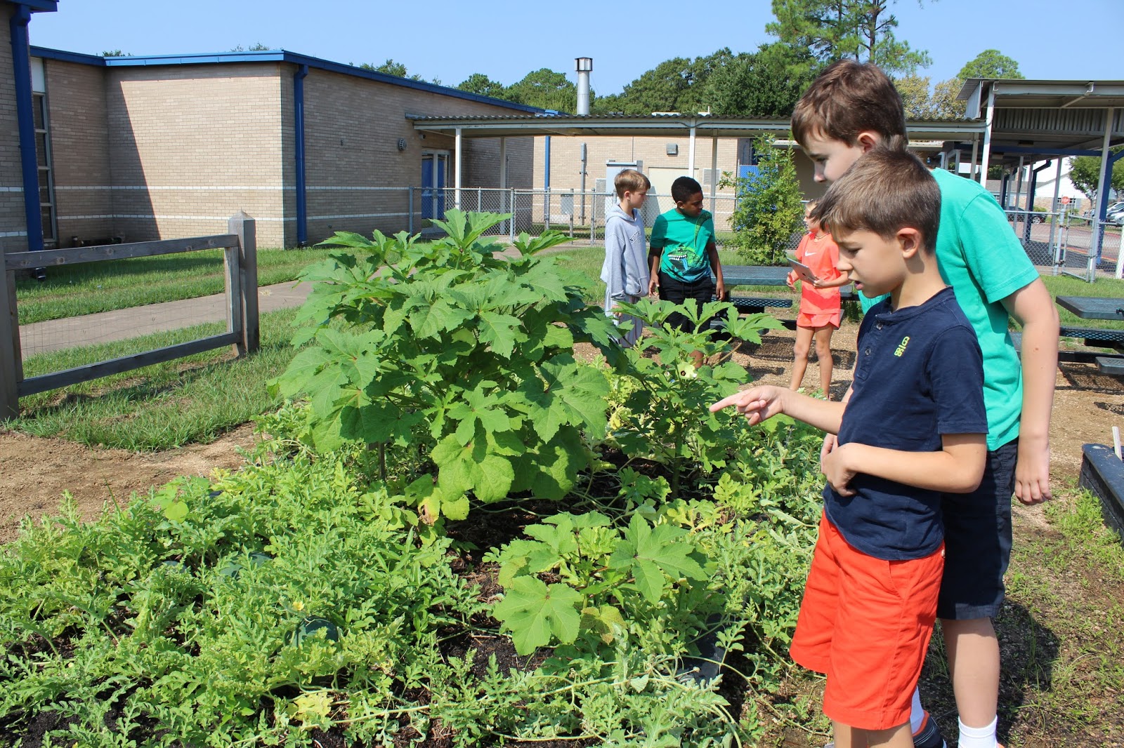 Ms. Choy's Classroom Blog