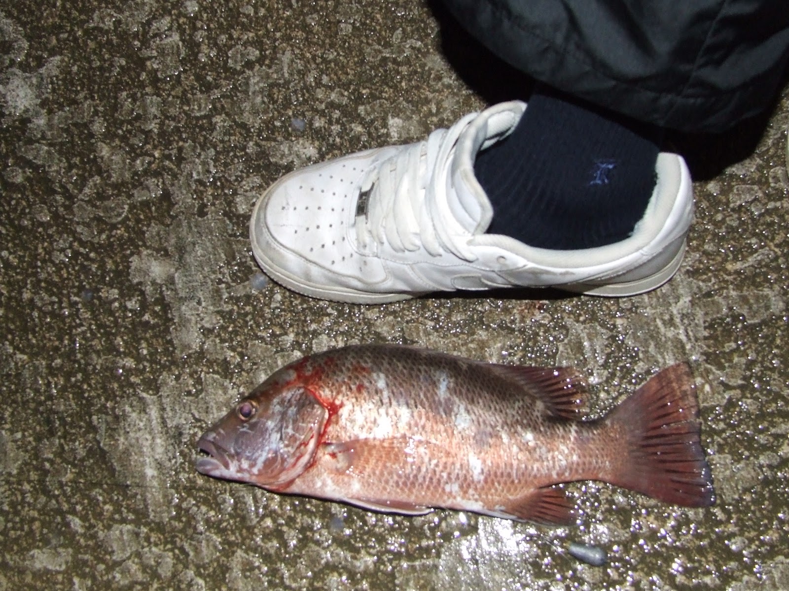 Okinawa Shore Fishing