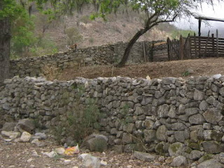 Déjame que te cuente...: PIRCA