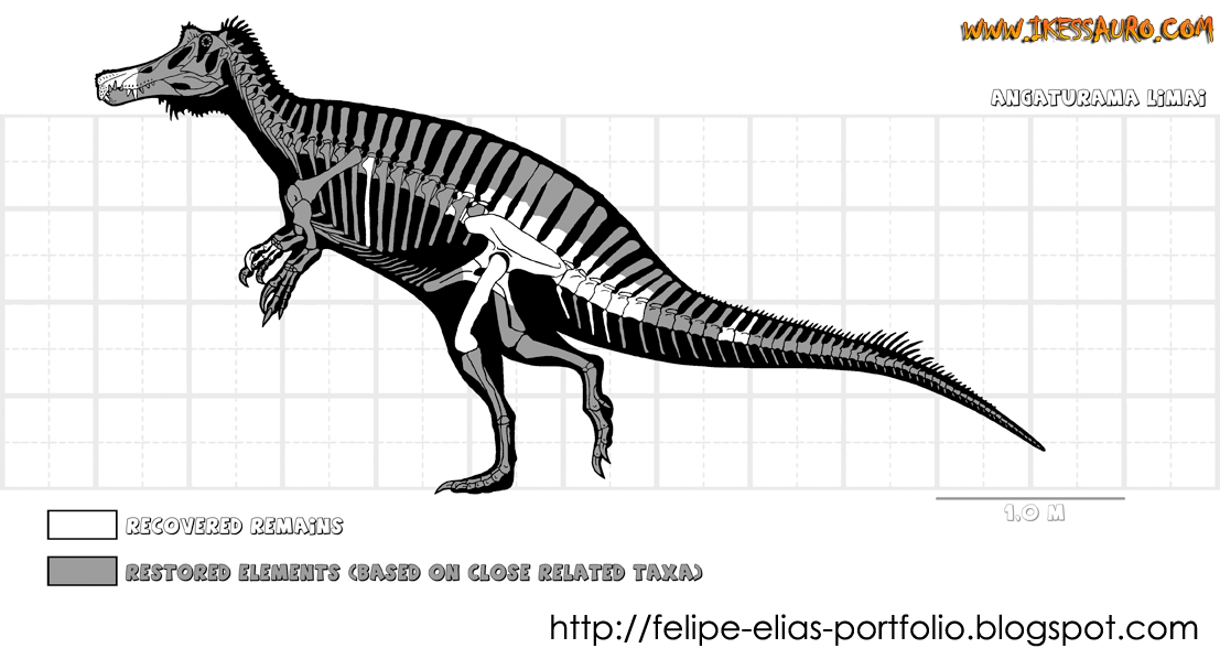 Angaturama | Ikessauro