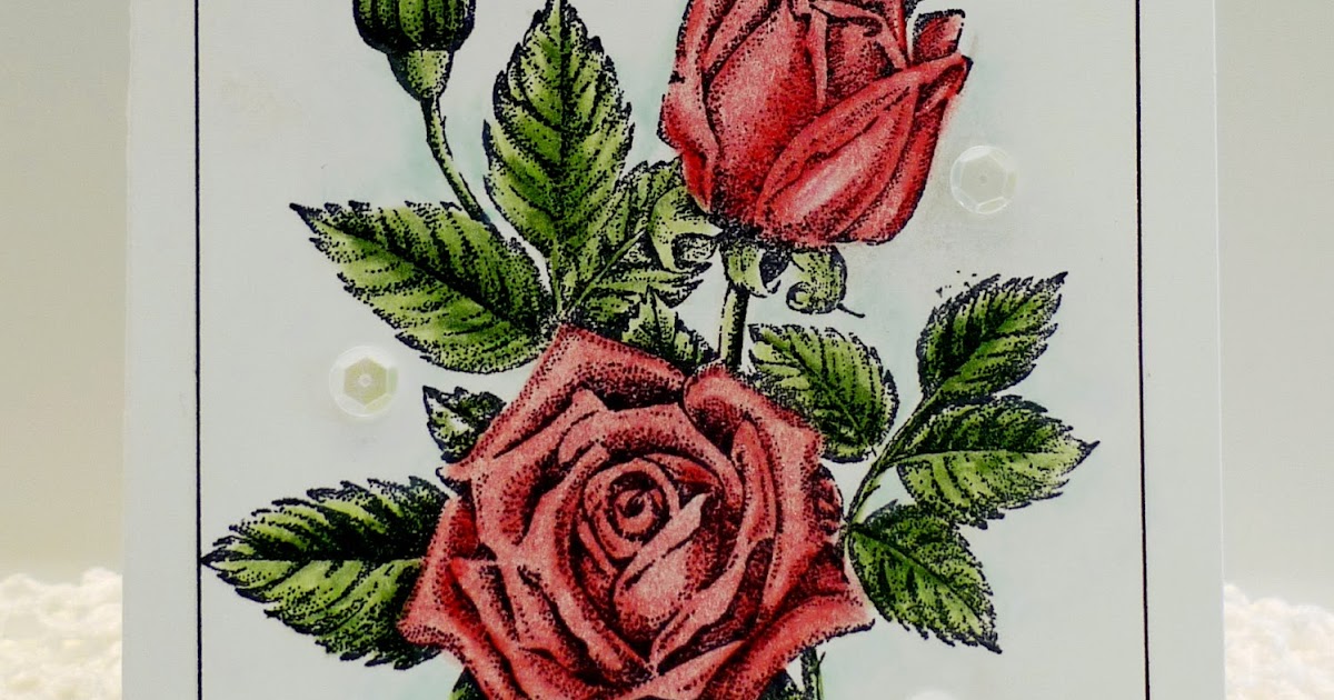 Sleepy in Seattle: Stipple Rose