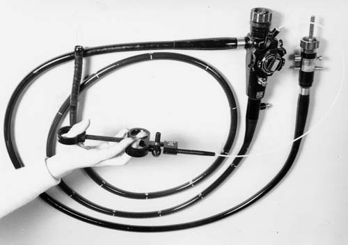 Medical Transcription: Colonoscopy