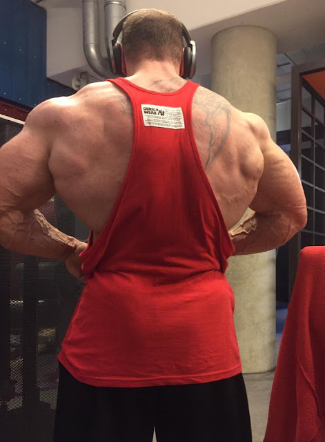 Muscle Lover: German Master bodybuilder - Steffen Gerhard