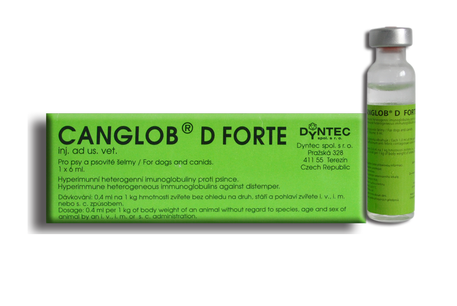 Loona..sau, cum sa supravietuim cu un labrador in apartament?: Jigodie