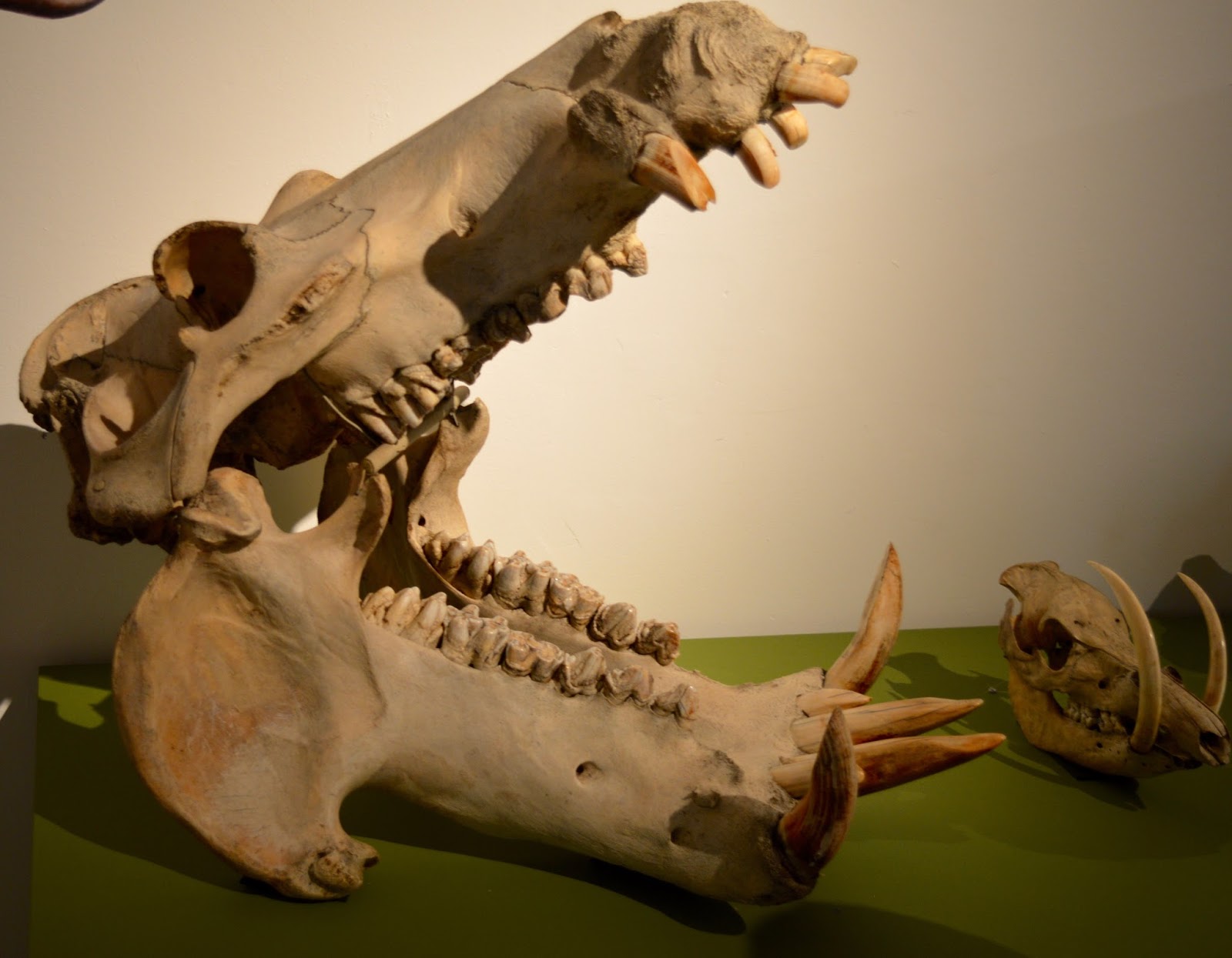 A FREE Day Out | Easter Holiday Activities & Bones Exhibition at ...